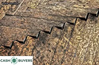 How To Dry Out Water Damage. Dry Water Damage